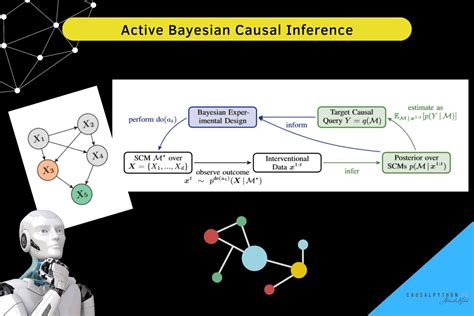 Causality Causalinference Python Bayesian Aleksander Molak