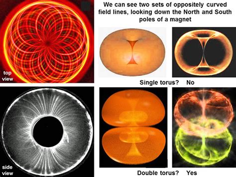 Article 13 Number The Monad Part 3 The Torus Cosmic Core