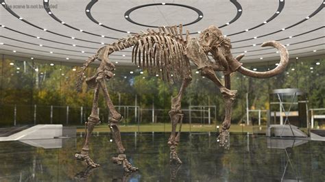 Mammoth Skeleton Old Bones Walking Pose 3d Model 149 3ds Blend C4d Fbx Max Ma Lxo Obj