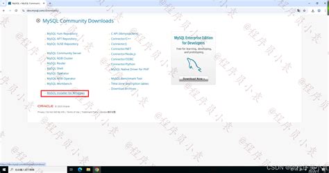 Windows下mysql安装全流程图文教程及客户端使用指南（付整合安装包）mysql Windows安装教程 Csdn博客