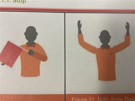 Network Signalling Flashcards Quizlet