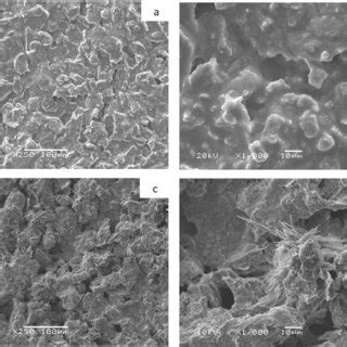 SEM Micrographs A And B Low And High Magnification Images Of Download Scientific Diagram