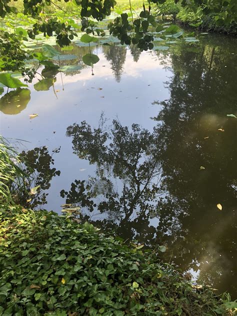 Coaching Effectivecommunication Leadershipdevelopment Growthmindset