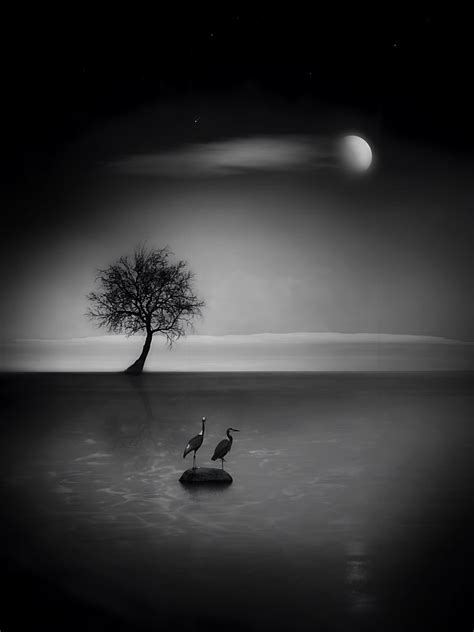 New Horizons By Ingrid E 500px