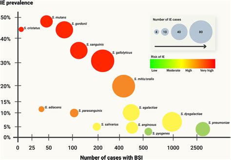 Strep Infection Rate At Sarah Fox Blog