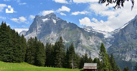 푸른 나무 근처의 푸른 잔디밭에 있는 갈색 목조 주택과 푸른 하늘 아래 산 사진 Unsplash의 무료 집 이미지