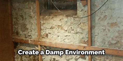 How To Fix Limestone Basement Walls 10 Effective Ways 2025