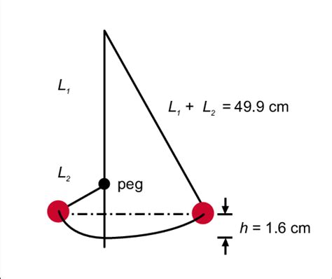 Sketch Of A Pendulums Motion Interrupted Halfway Through Its Swing