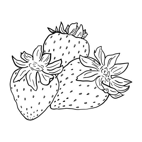 Black And White Strawberry Clipart Versatile Monochrome Designs For
