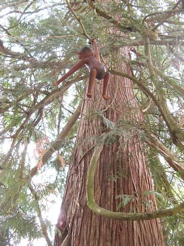 Dottie Angel A Babe Monkey Tale