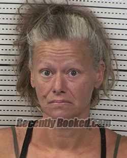 Christina Danielle Westover Mugshot And Arrest Info Dona Ana County Nm