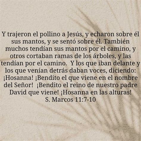 Lids ☀️¡buenos Días Y Feliz Domingo☀️ Hoy Es Un Día Especial Para