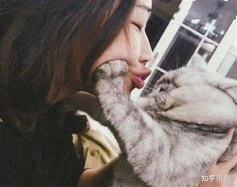 为什么猫咪喜欢用爪爪摸主人的脸 知乎