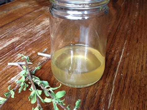 DIY Rooting Extract For Cuttings The Lost Herbs