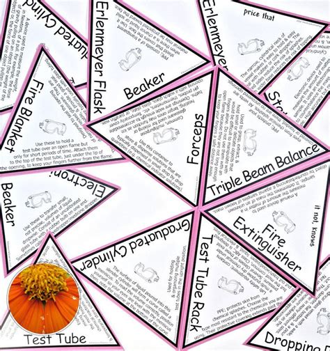 Lab Equipment 4 Structure Function Form Technique Tarsia Puzzle Biology