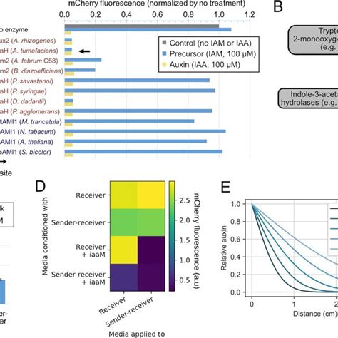 Michael Elowitz California Institute Of Technology Ca Cit Division Of Biology Research