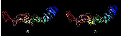 Tertiary Structure Prediction And Refinement A 3 D Modeling Of Vaccine Download Scientific