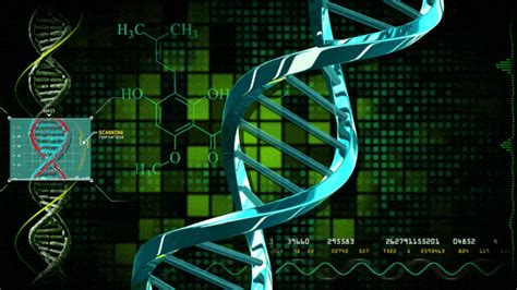 Are Male Genes From Mars Female Genes From Venus Sex Differences In