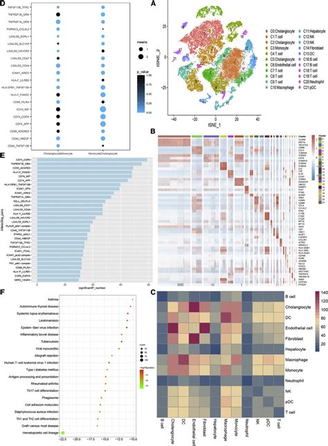 Dissection Of CHOL With ScRNA Seq A TSNE Plot Of 40 919 Cells From Download Scientific