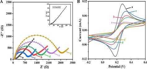 Eis A And Cyclic Voltammetry Curves B Of Different Modified Download Scientific Diagram