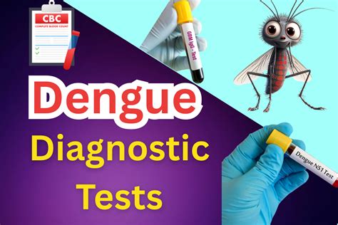 Dengue Detection Methods The Complete Guide To Early And Accurate