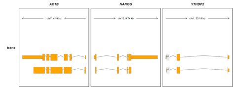 Chapter 5 Basic Visualization Biosequtils Reference