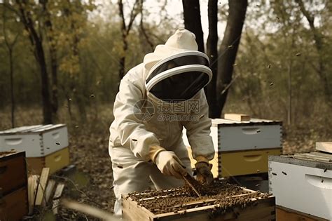 养蜂人在收集蜂蜜高清图片下载 正版图片600161628 摄图网