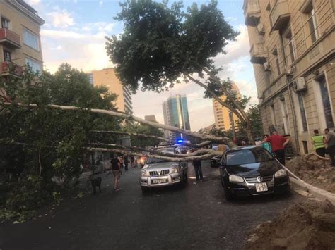 ტელეკომპანია აფხაზეთის ხმა Home Facebook