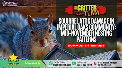 Squirrel Attic Damage In Imperial Oaks Community Mid November Nesting
