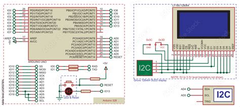Vector Diagram Of The Connection Of The OLED Module To The Arduino Uno Stock Vector Adobe Stock