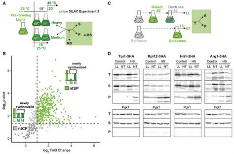 Identification Of Ntsp And Ntcp Proteins A Schematic Of Experiment 3