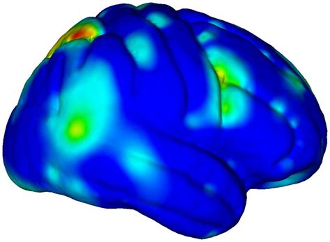 3 Correlation Maps Between Specic Reference Points And Other Brain Download Scientific Diagram