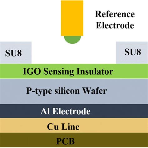 The Structure Of The Igo Eis Based Biosensor Download Scientific Diagram