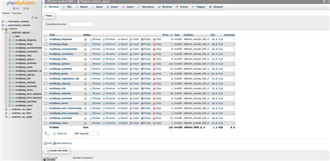 CPanel Databases NodeSpace Docs