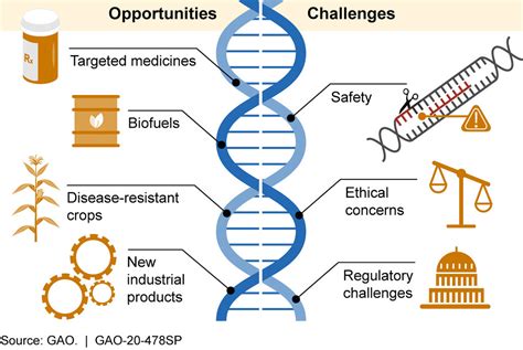 Figure Examples Of CRISPR S Range Of Possible Opportunities And Challenges A Photo On