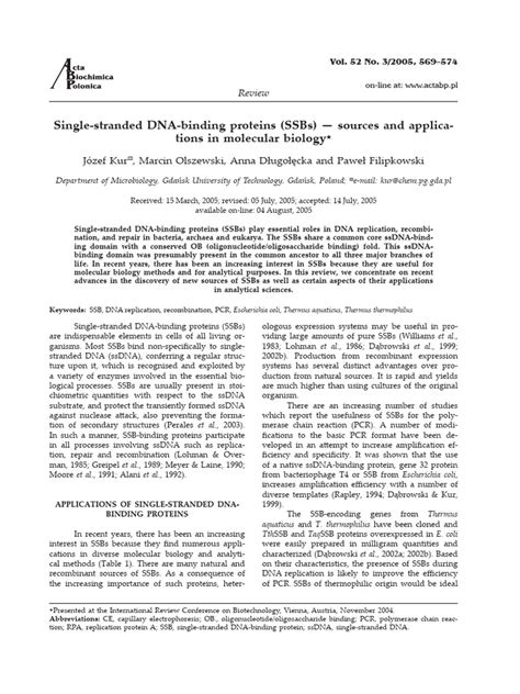 Single Stranded Dna Binding Protein Pdf Dna Polymerase Chain Reaction