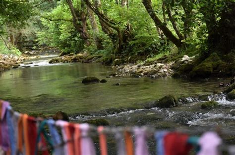 კოტეჯები რაჭაში ექსკლუზიური ვარიანტები Kotejebi Ge