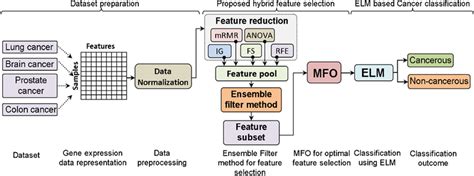 Proposed Mfo Elm Based Model For Microarray Data Classification Download Scientific Diagram