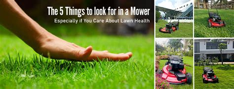 Lawn Mower Archives Irrigation Products International Pvt Ltd