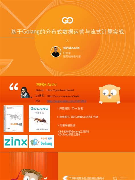 刘丹冰 基于golang的分布式运营与流式计算实战 Pdf 刘丹冰 基于golang的分布式运营与流式计算实战 Pdf