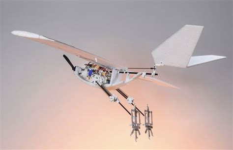 Alejandro G On Linkedin Raven