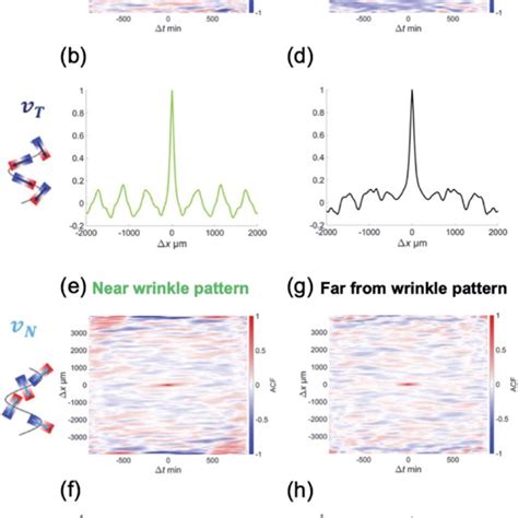 The Autocorrelation Function Of Velocity In The Tangential Direction Download Scientific