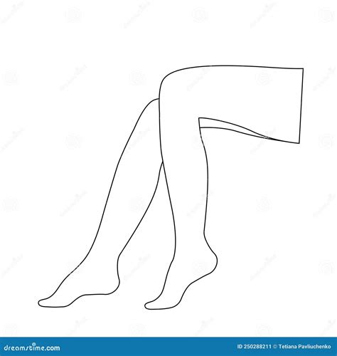 女性腿轮廓 向量例证 插画 包括有 分级显示 女性 爱好健美者 前面 有吸引力的 熟友 方式 250288211