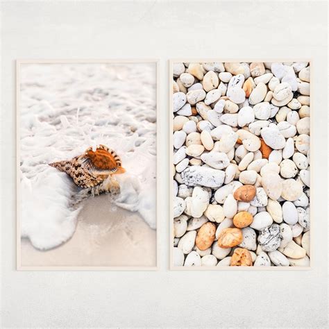 Seashell And Beach Stone Print Set Coastal Wall Art Beach Stones