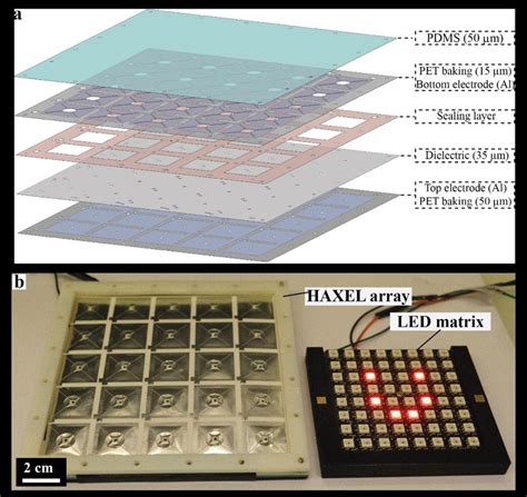 Fig S4 A Exploded View Of A 5x5 Haxel Array That Is Composed Of Five Download Scientific