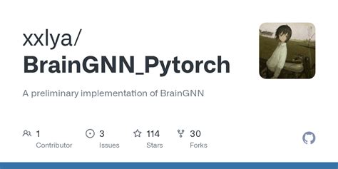 Issues Xxlya BrainGNN Pytorch GitHub