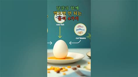 달걀과 함께 먹으면 안되는 음식 4가지 건강관리 지식 건강정보 꿀팁 달걀음식궁합 음식음식정보 Youtube