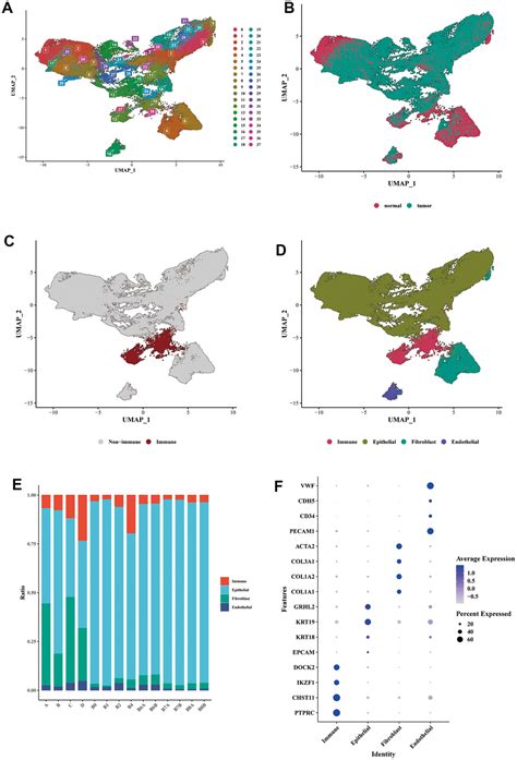 Collaborating Single Cell And Bulk Rna Sequencing For Comprehensive Characterization Of The
