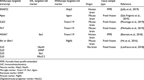 Combined Rnascope And Or Immunohistochemistry Staining On Brain Tissues