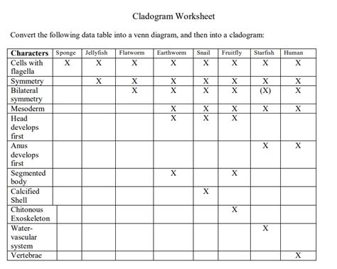 Solved Cladogram Worksheetconvert The Following Data Table